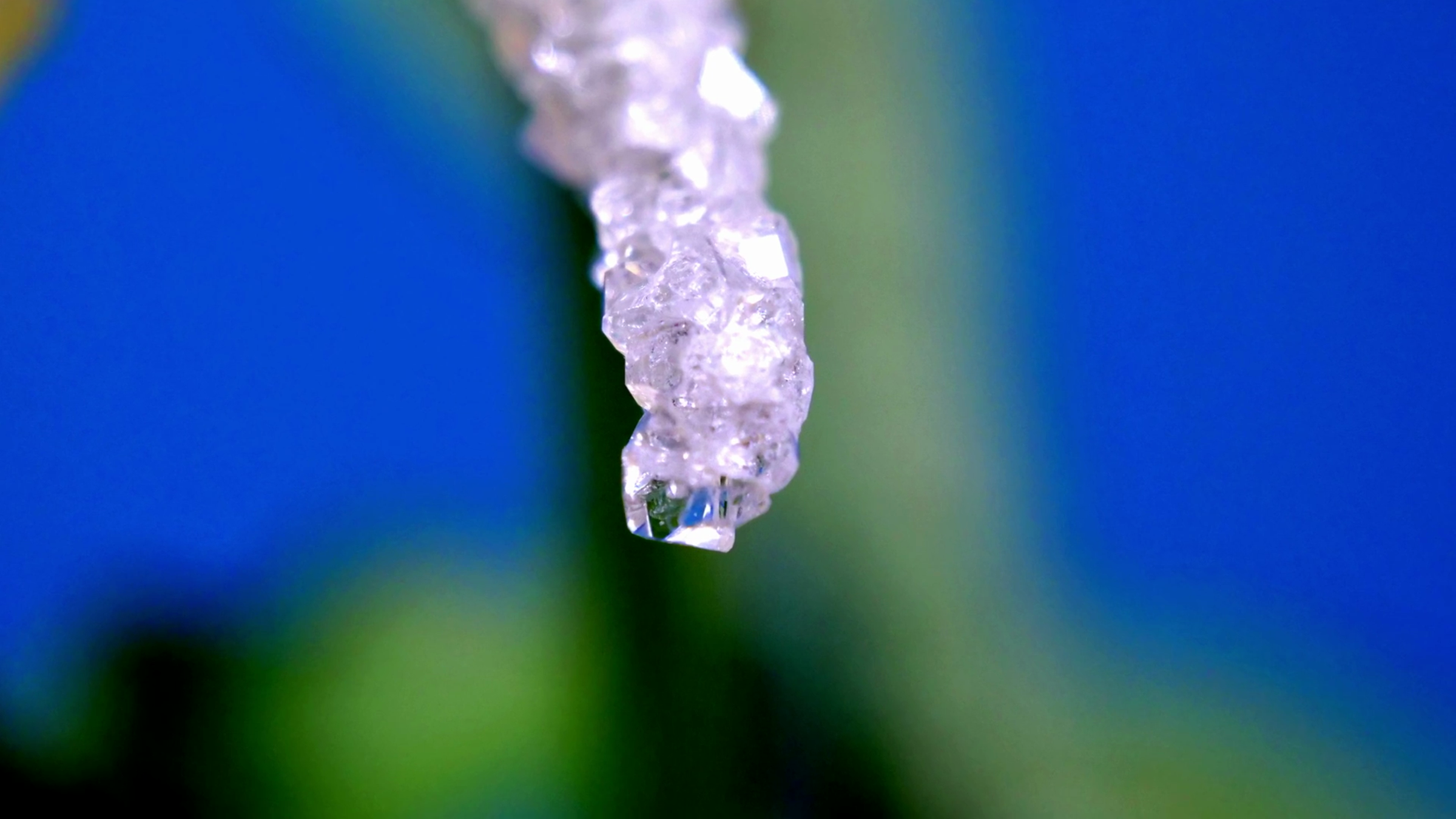 Flower Crystallization : 8 Steps (with Pictures) - Instructables