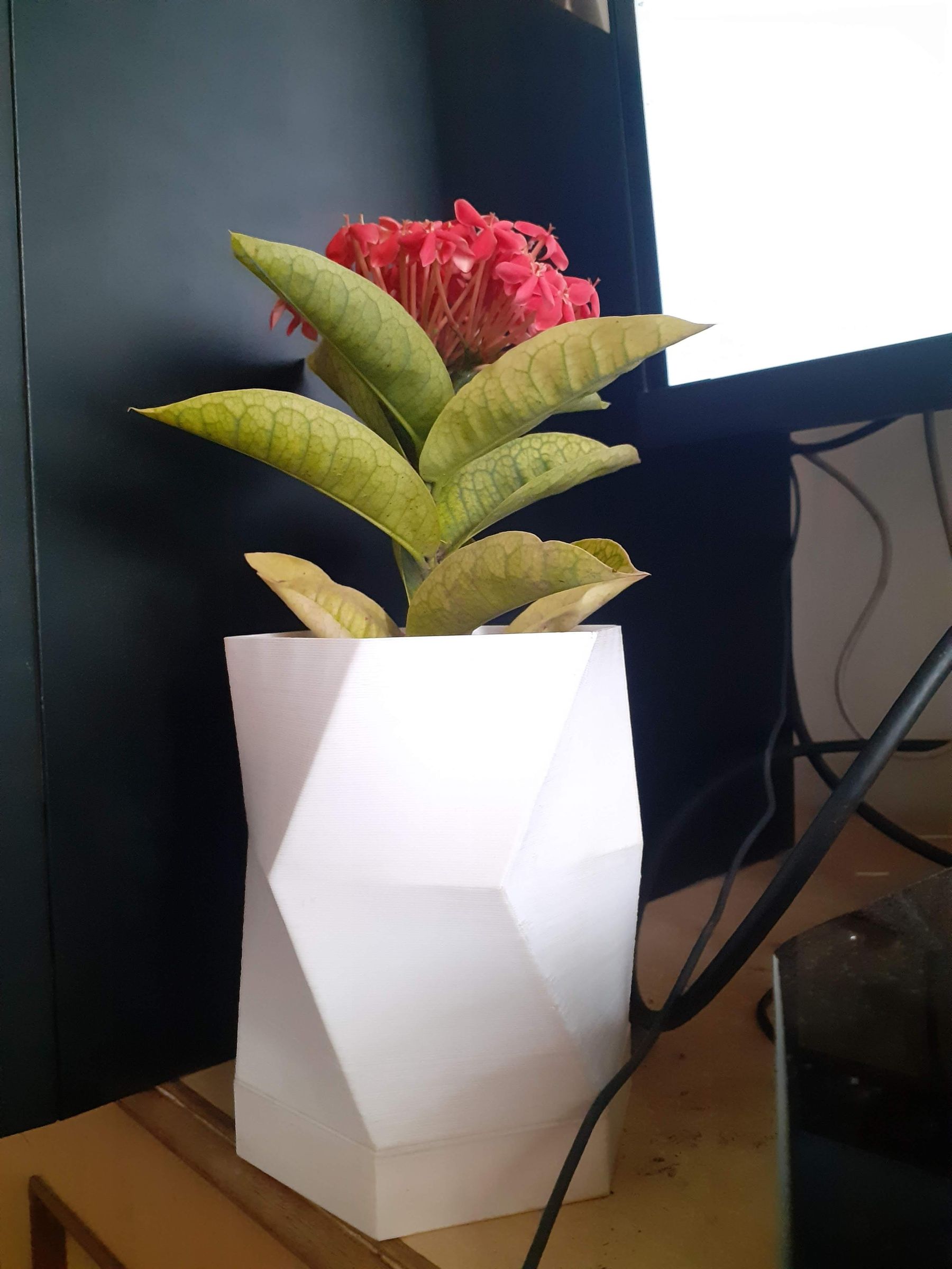 3D Printed Vase With Hidden Compartment : 4 Steps (with Pictures ...