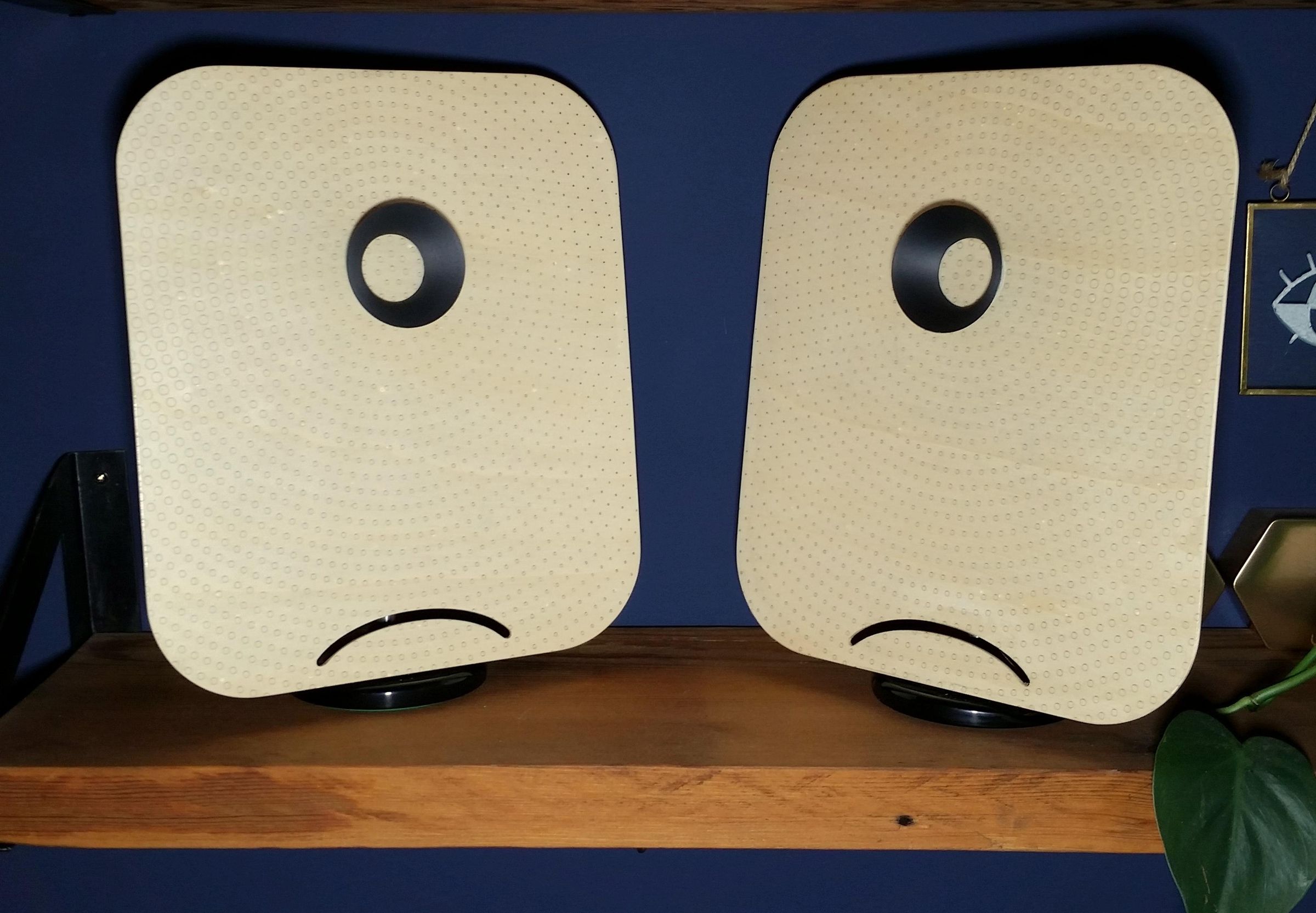 Plywood DML Speakers : 12 Steps (with Pictures) - Instructables