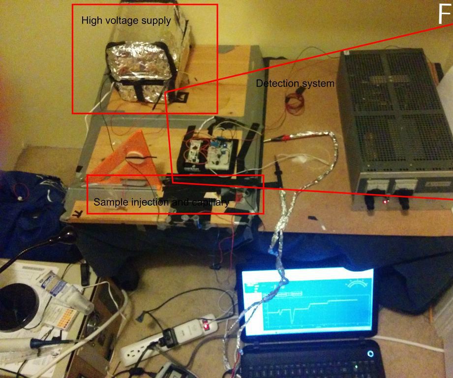 Capillary Electrophoresis : 7 Steps - Instructables