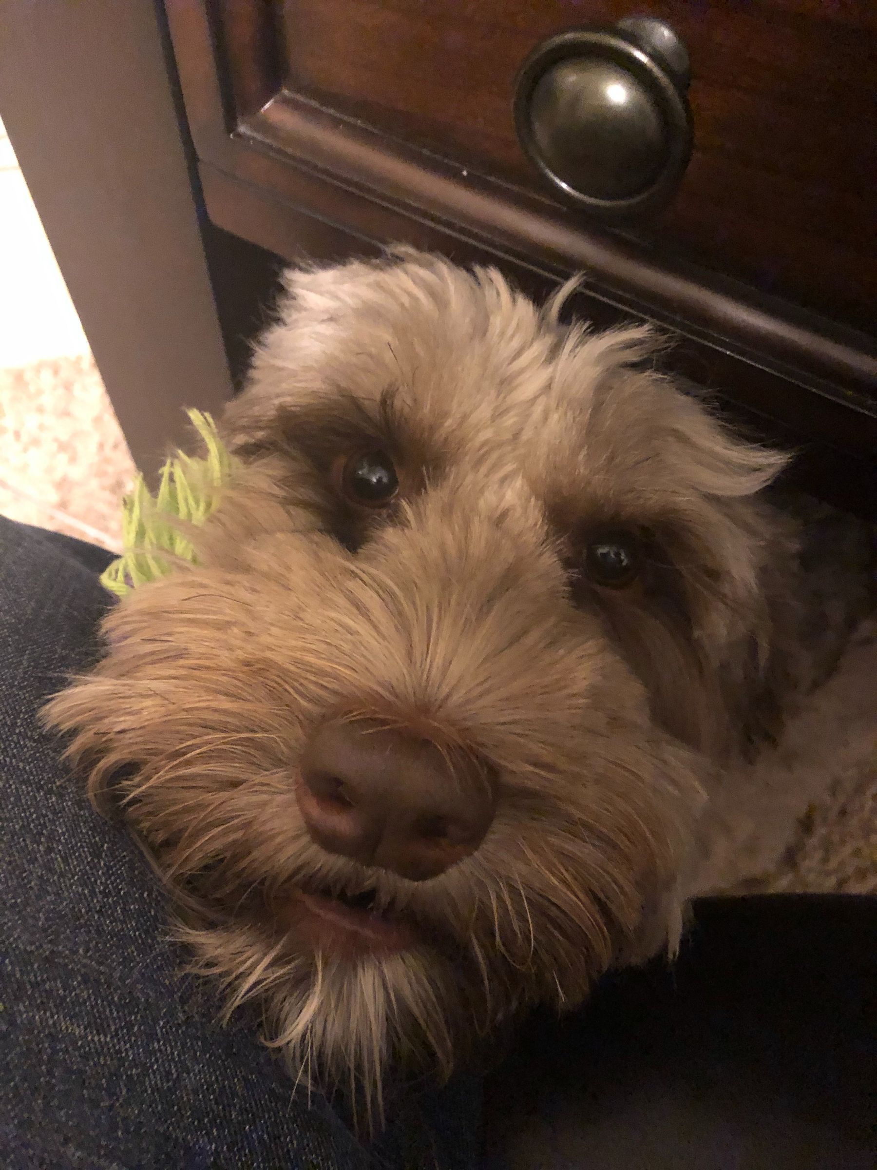 Origami Post-it Box : 15 Steps (with Pictures) - Instructables