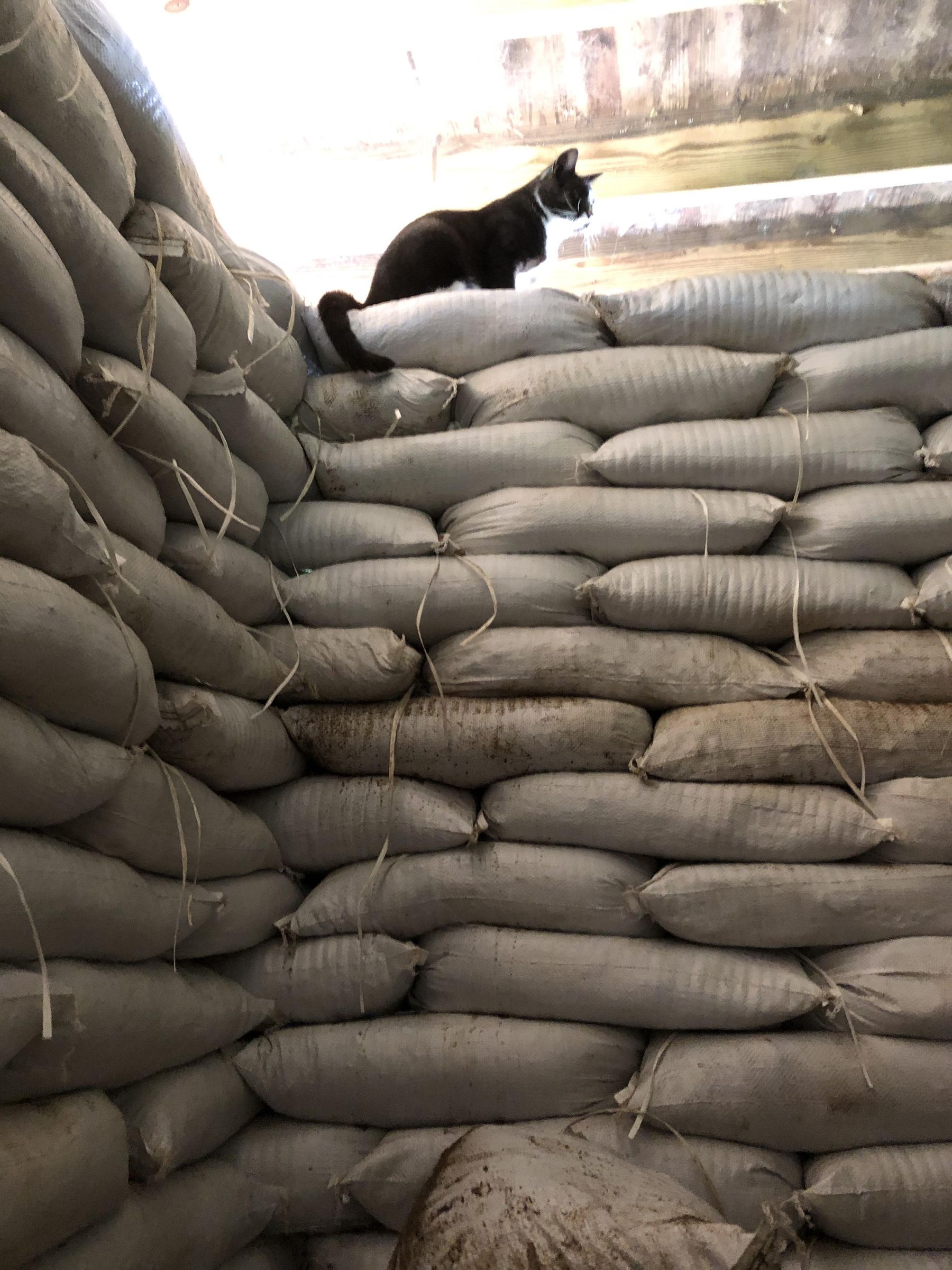 Earthbag Root Cellar : 12 Steps (with Pictures) - Instructables