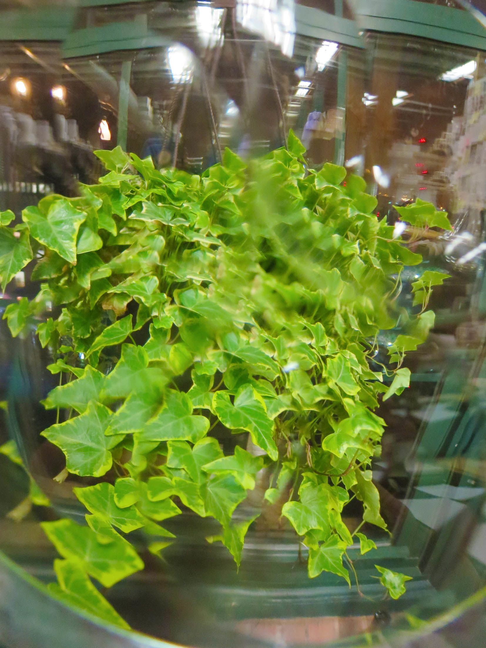 Lens Making : 5 Steps (with Pictures) - Instructables