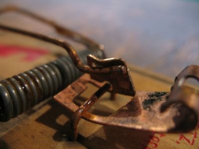 How to Trap a Mouse : 6 Steps - Instructables