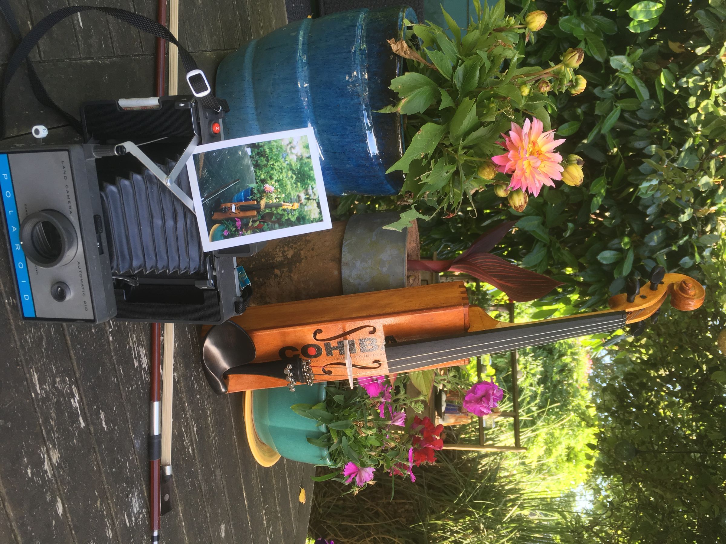 Cigar Box Fiddle / Violin : 8 Steps (with Pictures) - Instructables