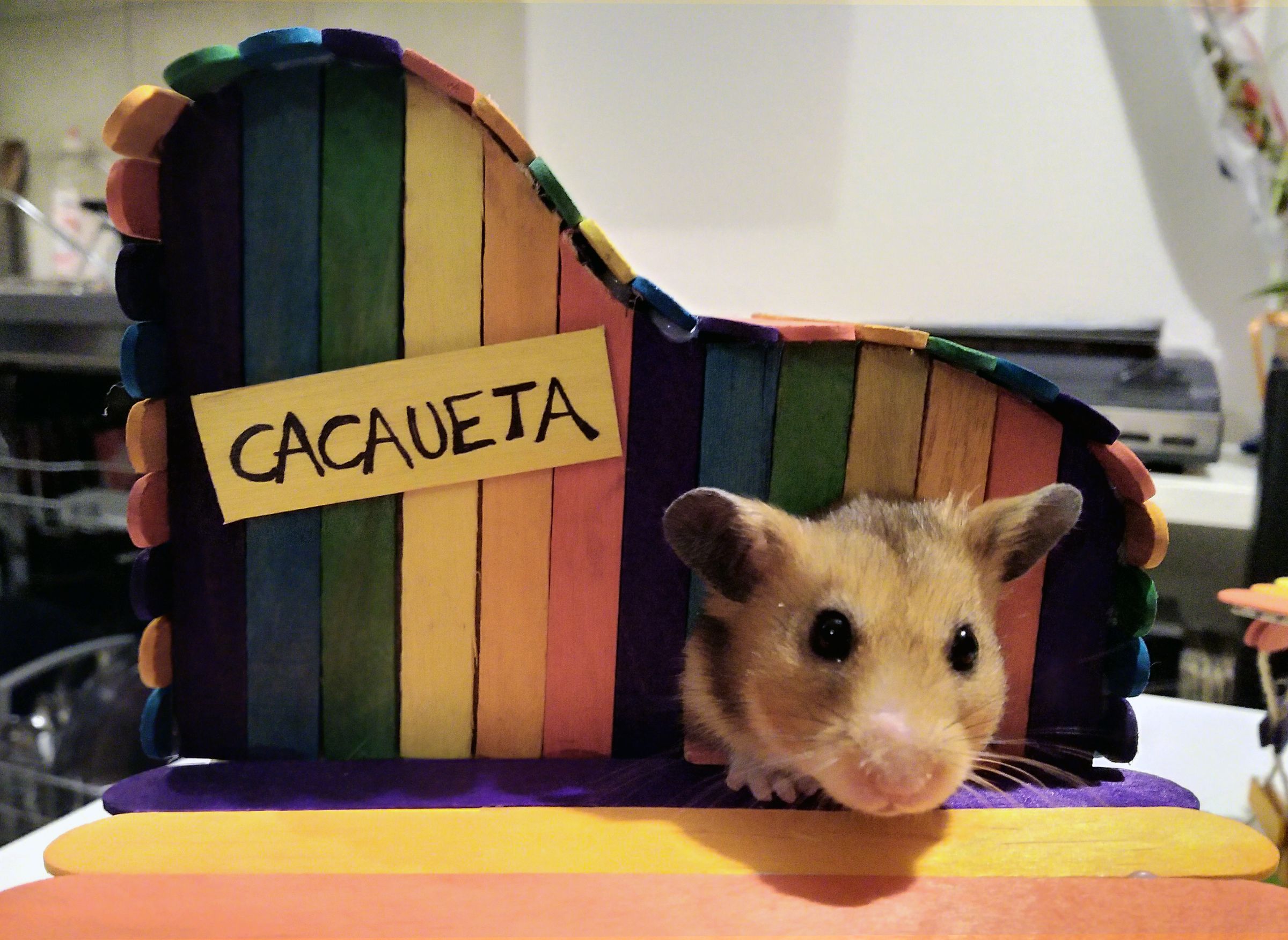 Hamster Tree House : 11 Steps (with Pictures) - Instructables