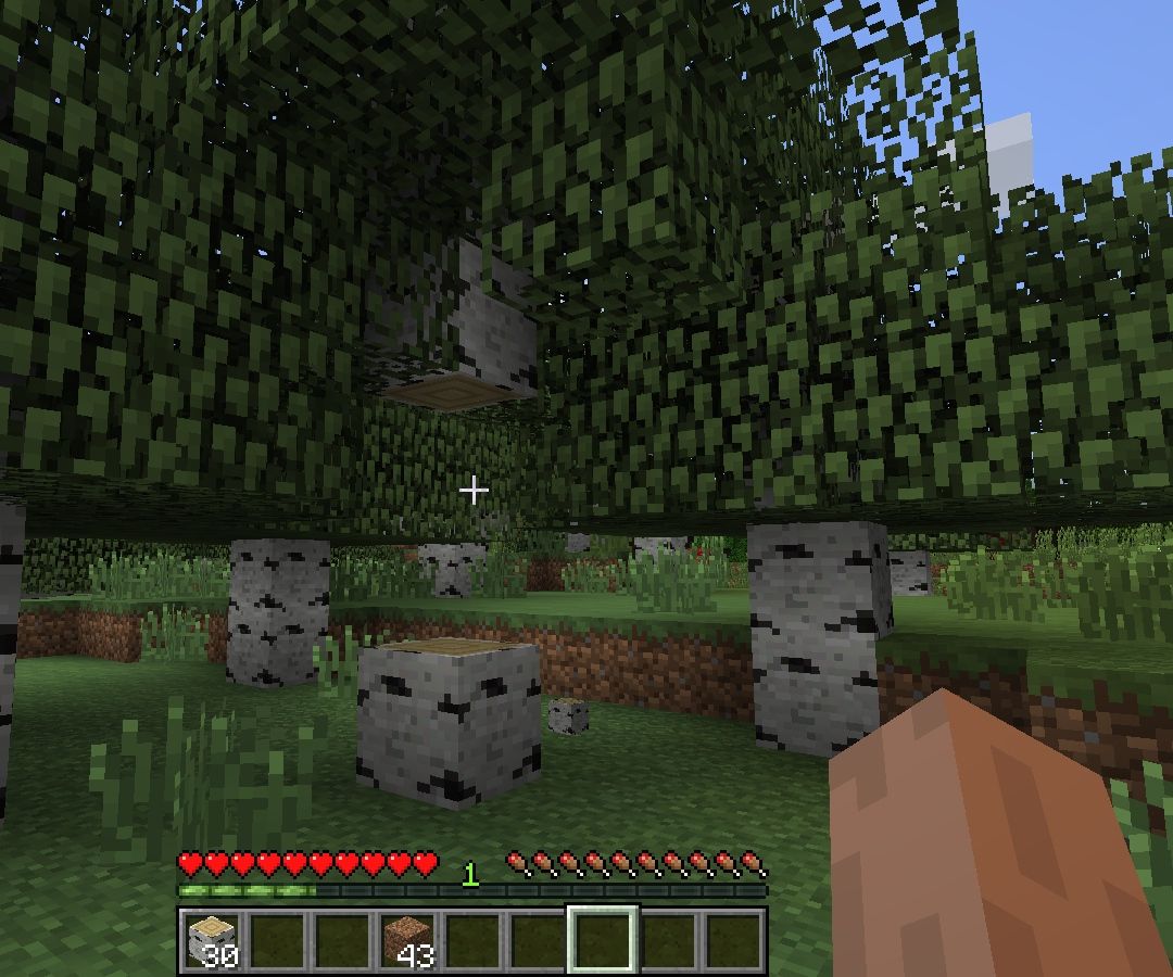 How to Survive Your First Day in Minecraft : 10 Steps (with Pictures ...