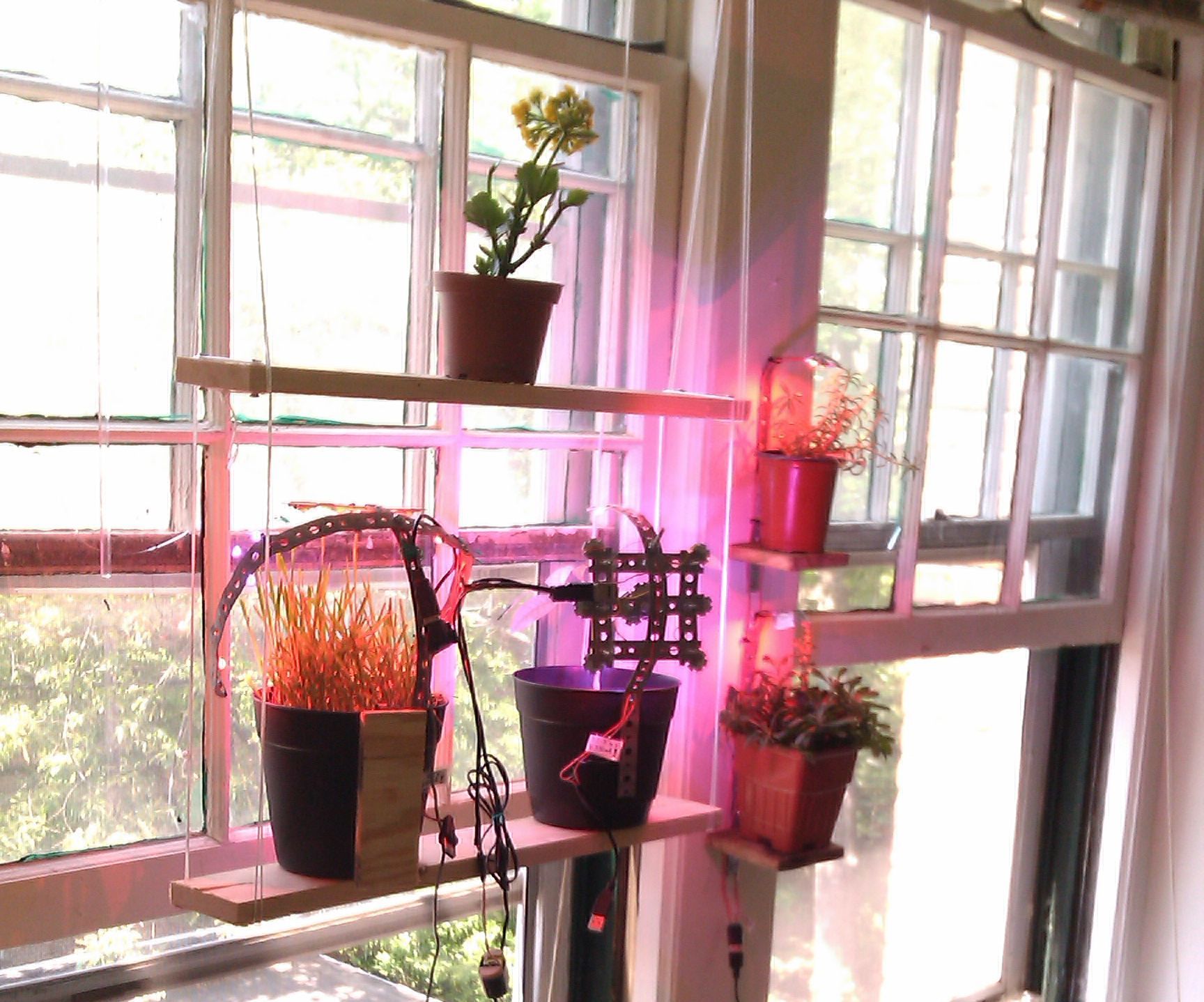 Window Gardening : 3 Steps - Instructables