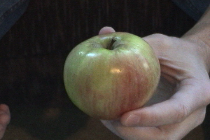 Crack an Apple in Half With Your Bare Hands : 4 Steps (with Pictures ...