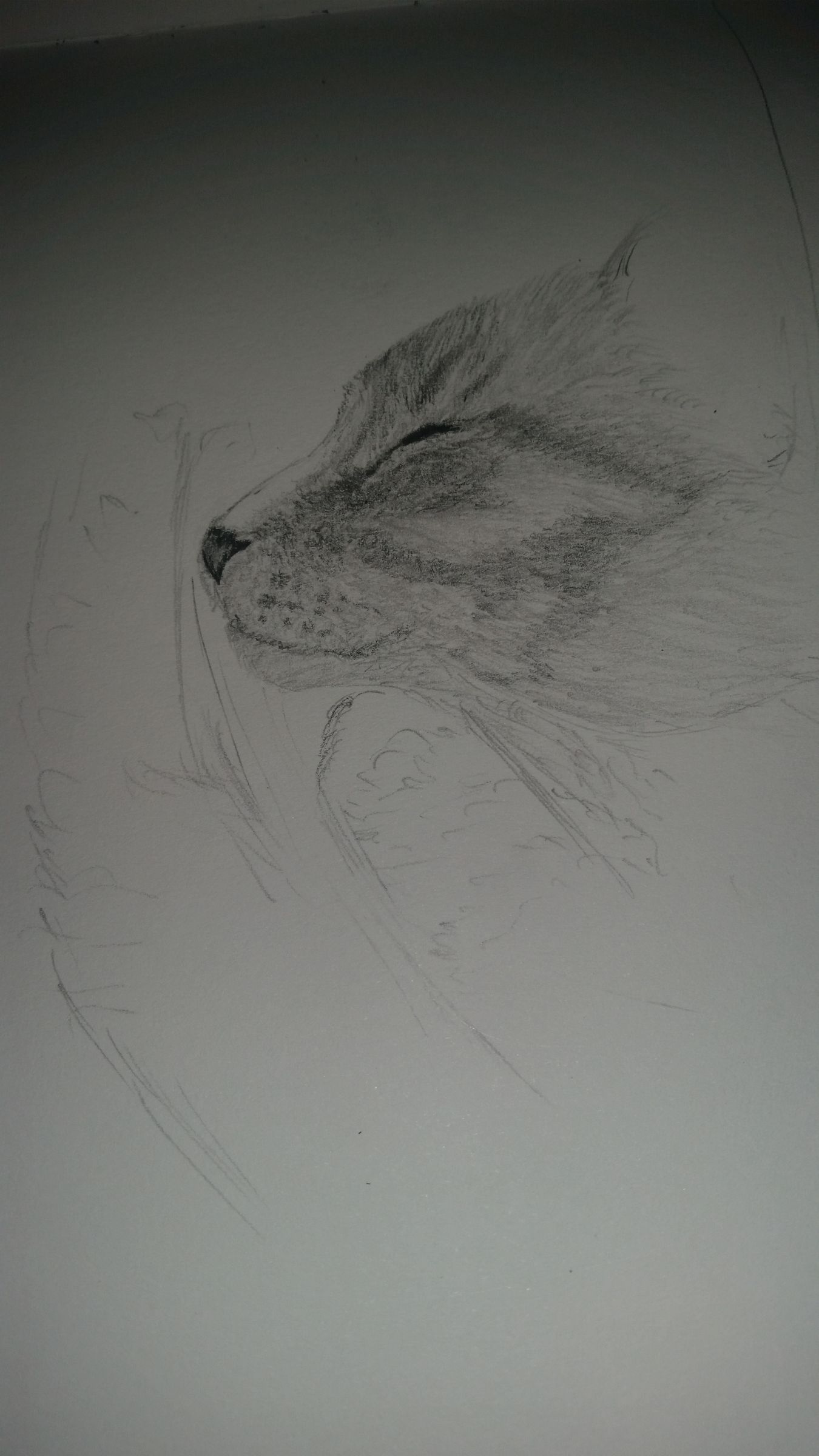 How to Draw Fur : 6 Steps - Instructables