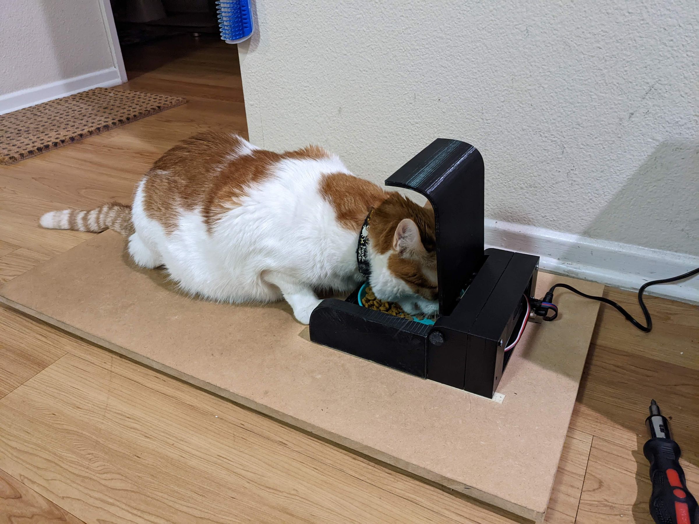 Cat and Dog Selective Feeder : 6 Steps (with Pictures) - Instructables