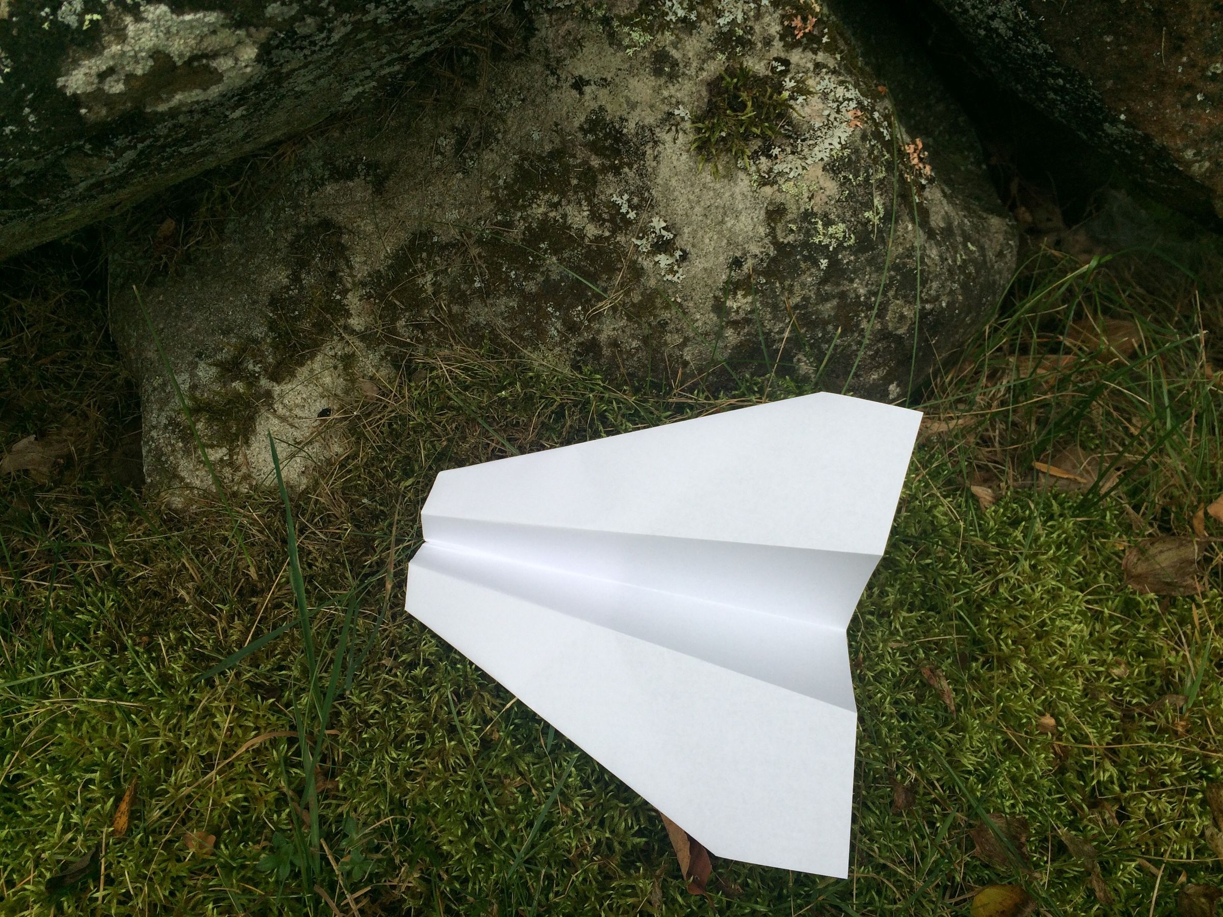 The Perfect Paper Plane! : 4 Steps - Instructables
