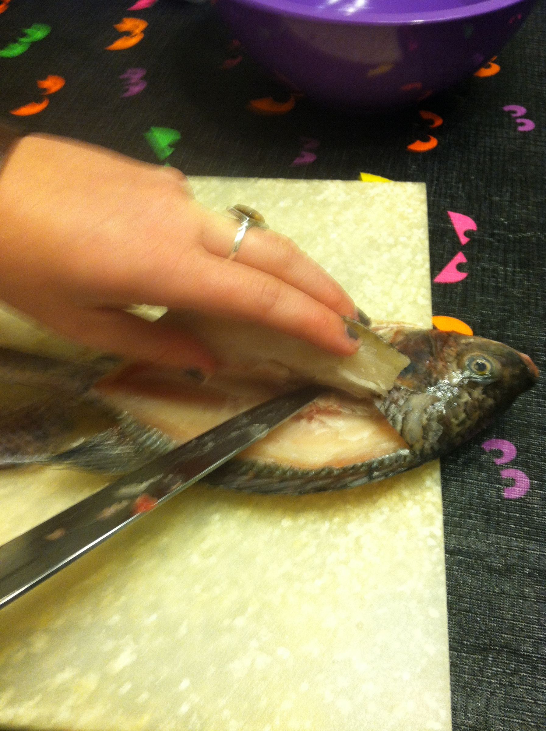 How to Clean a Fish : 6 Steps (with Pictures) - Instructables