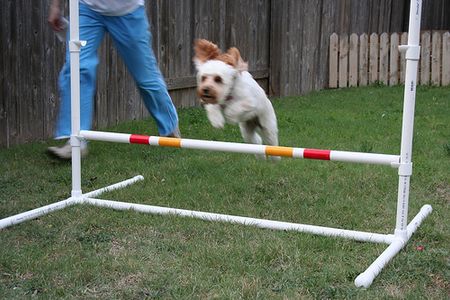 DIY Dog Agility A-Frame : 7 Steps (with Pictures) - Instructables