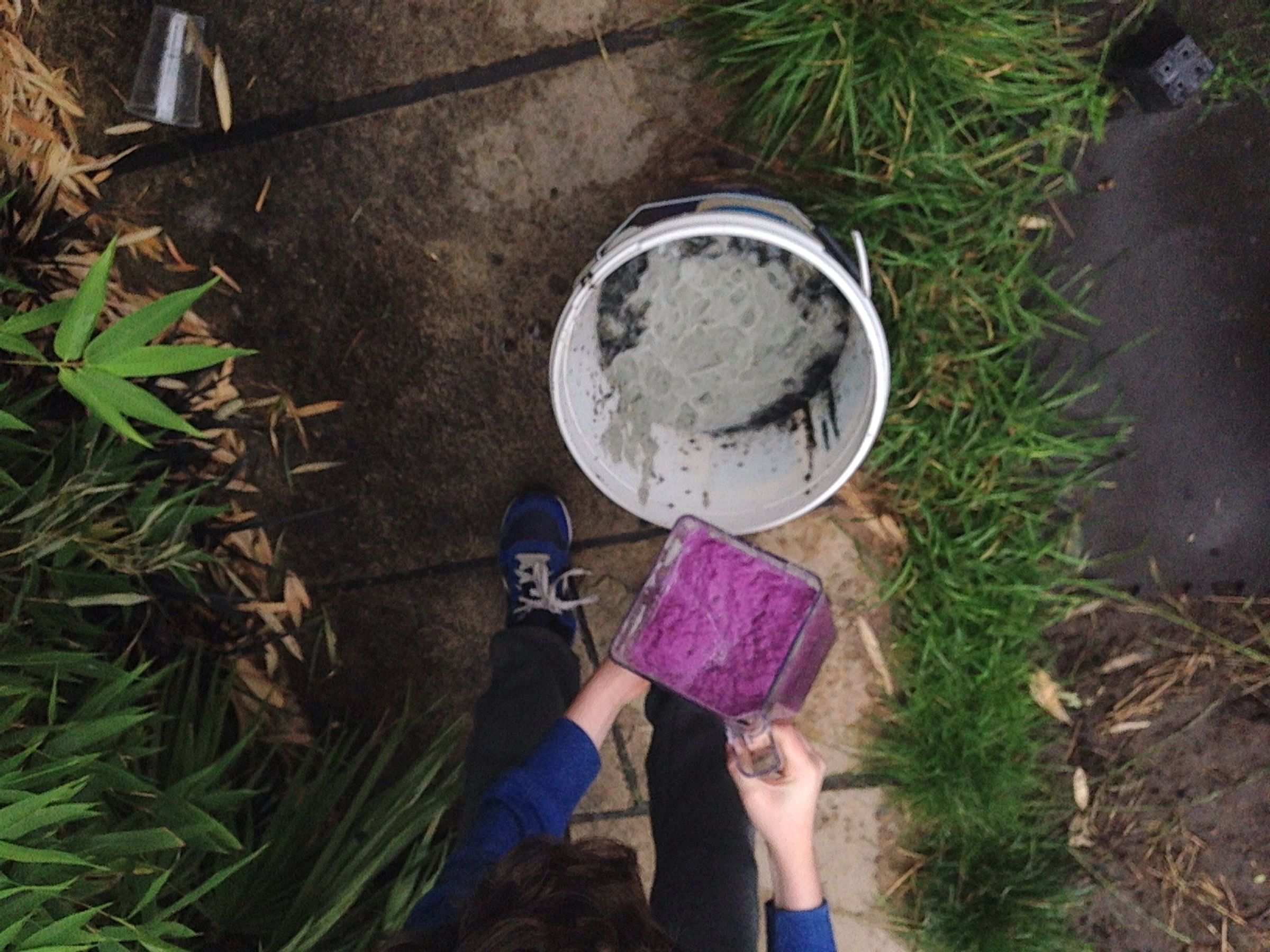 Make Worm Food for Your Wormery : 4 Steps (with Pictures) - Instructables