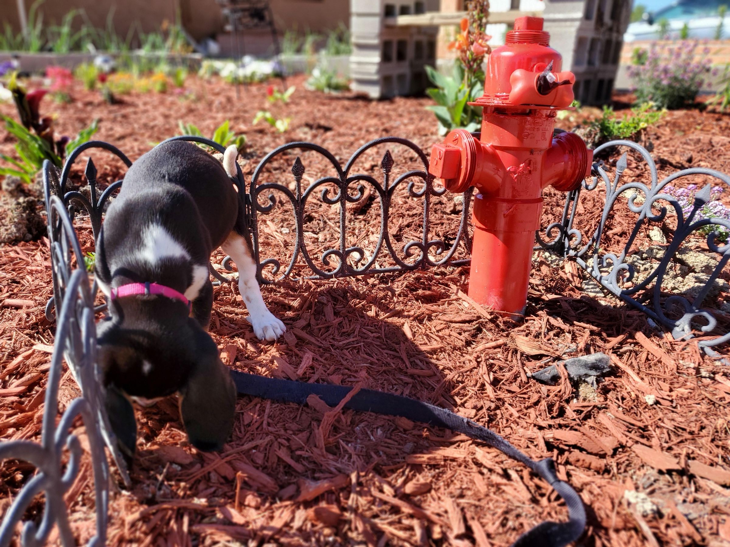 Backyard Fire Hydrant : 8 Steps (with Pictures) - Instructables