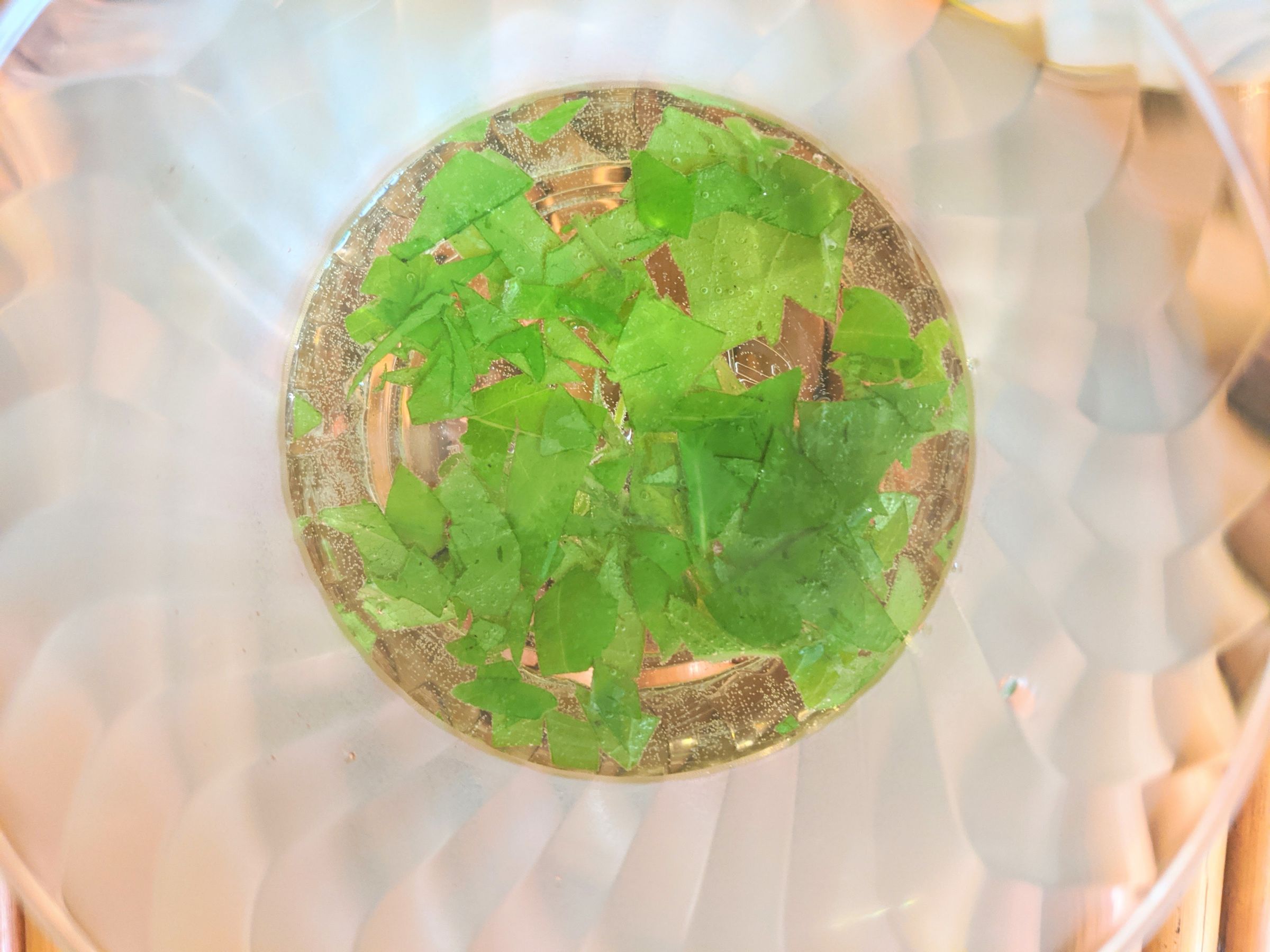 Making Natural Inks : 4 Steps (with Pictures) - Instructables