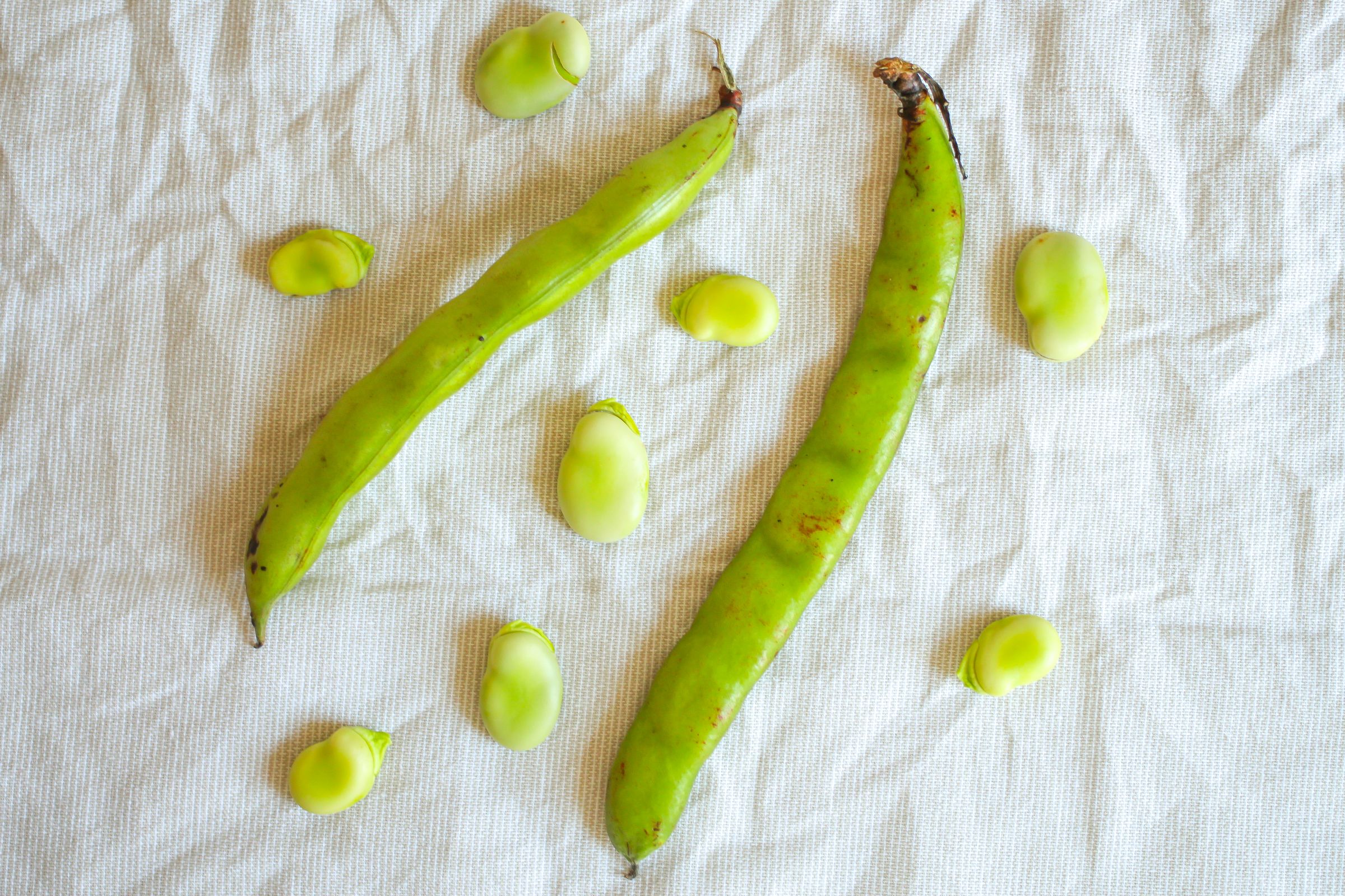 How to Cook Fava Beans : 5 Steps (with Pictures) - Instructables