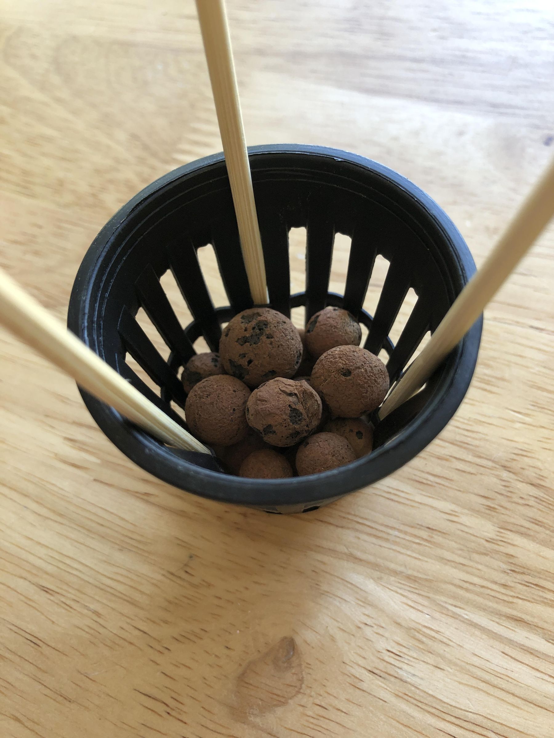 Mini Kratky Jars - Easy Hydroponics : 12 Steps (with Pictures ...