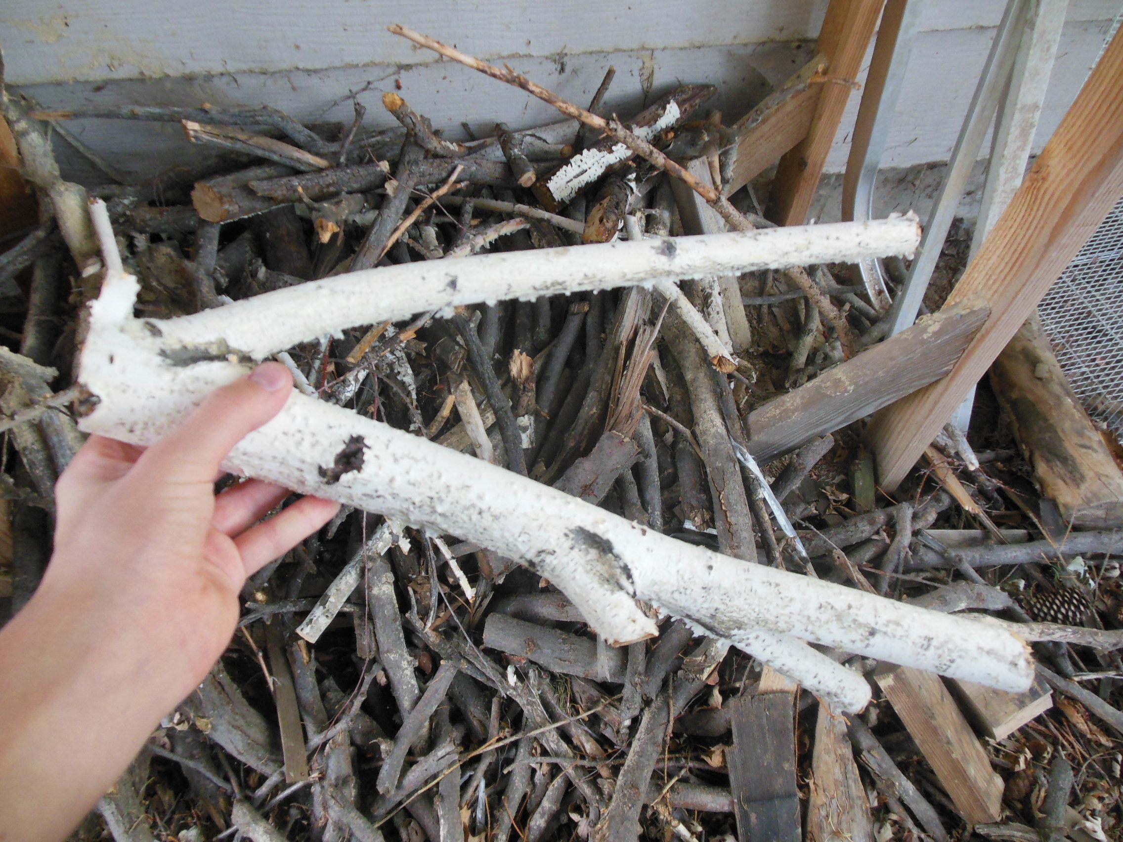 DIY: Wooden Ring : 5 Steps (with Pictures) - Instructables