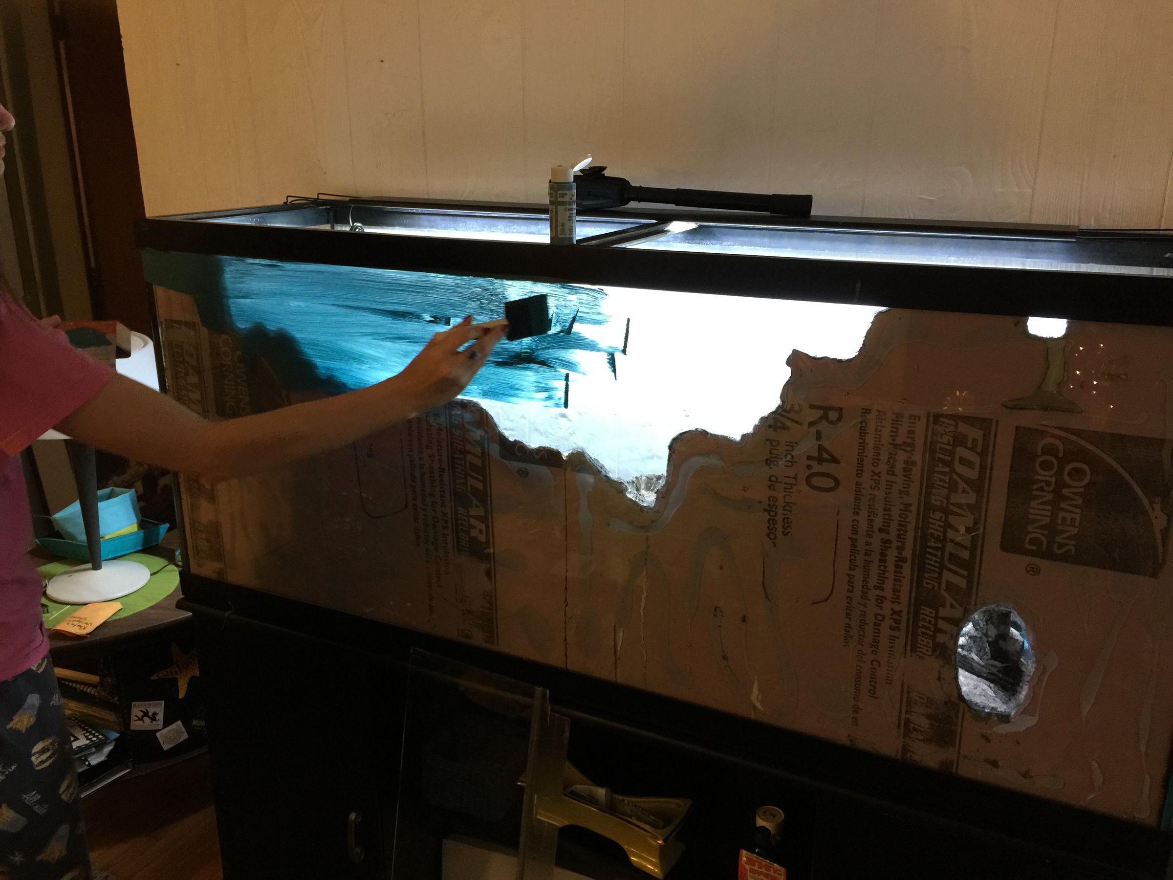 Make a 3D Aquarium Background : 14 Steps (with Pictures) - Instructables