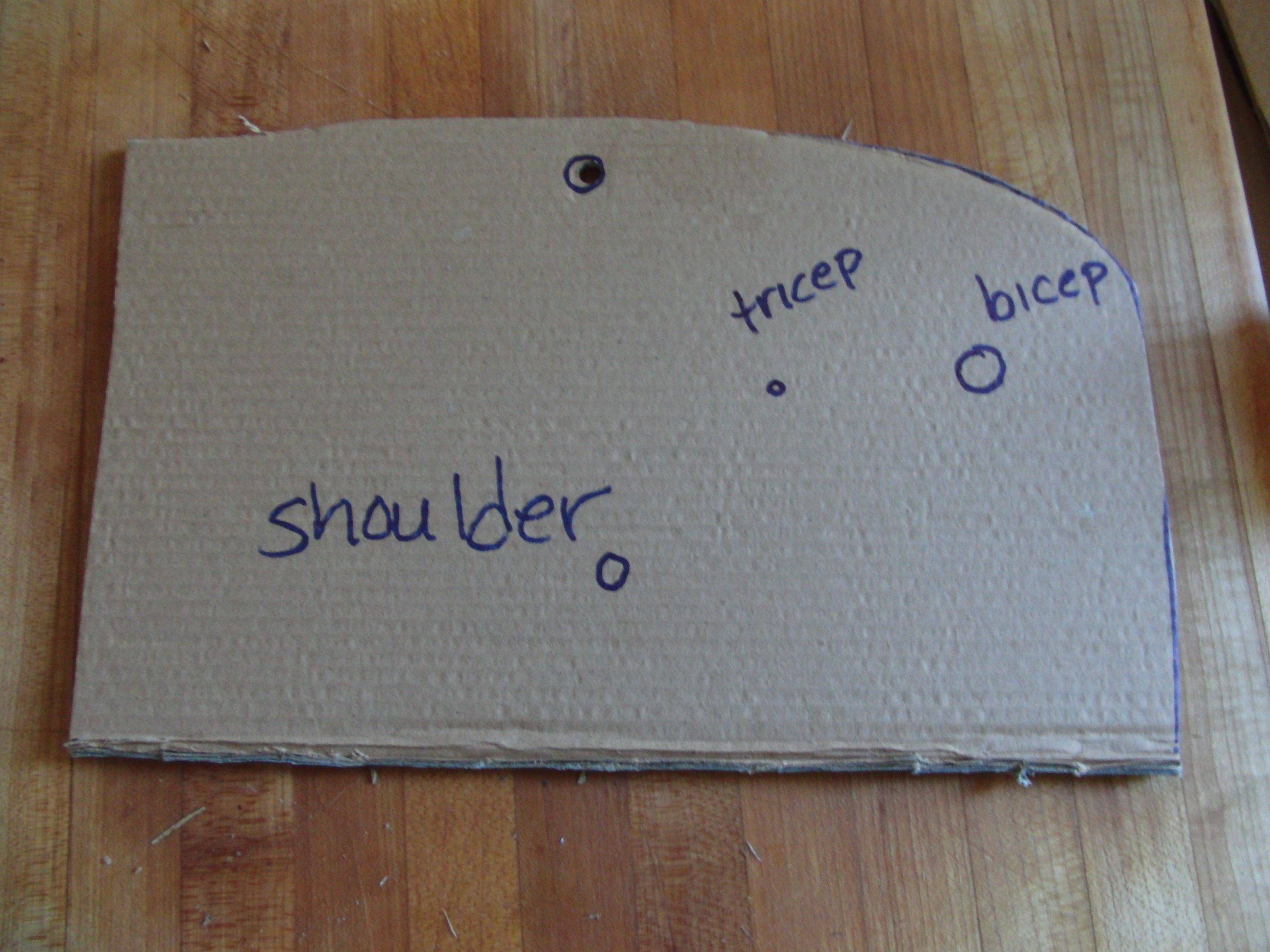 Human Arm Model : 13 Steps (with Pictures) - Instructables