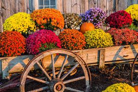 How to Create a Fall Outdoor Display : 10 Steps - Instructables