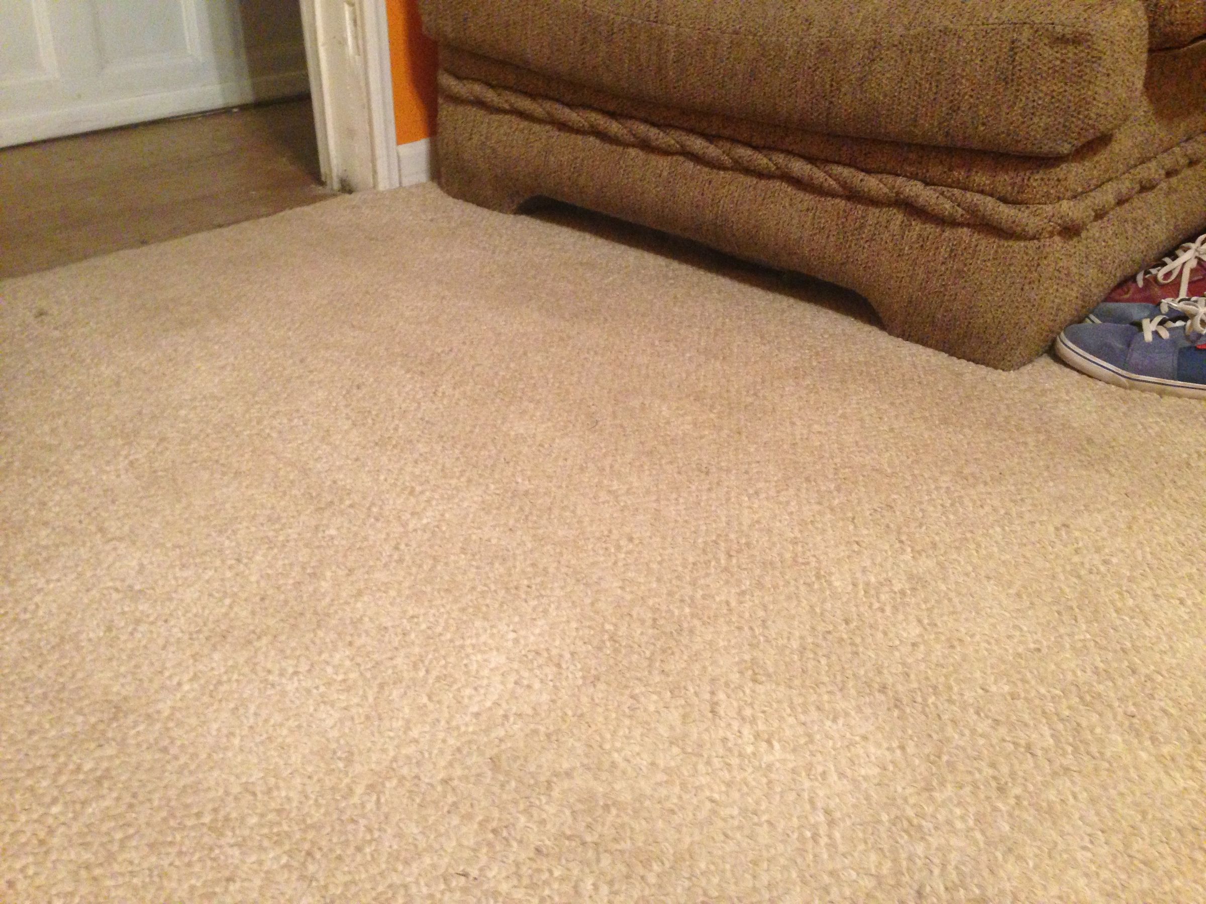 Year Old Carpet Stains GONE : 7 Steps (with Pictures) - Instructables