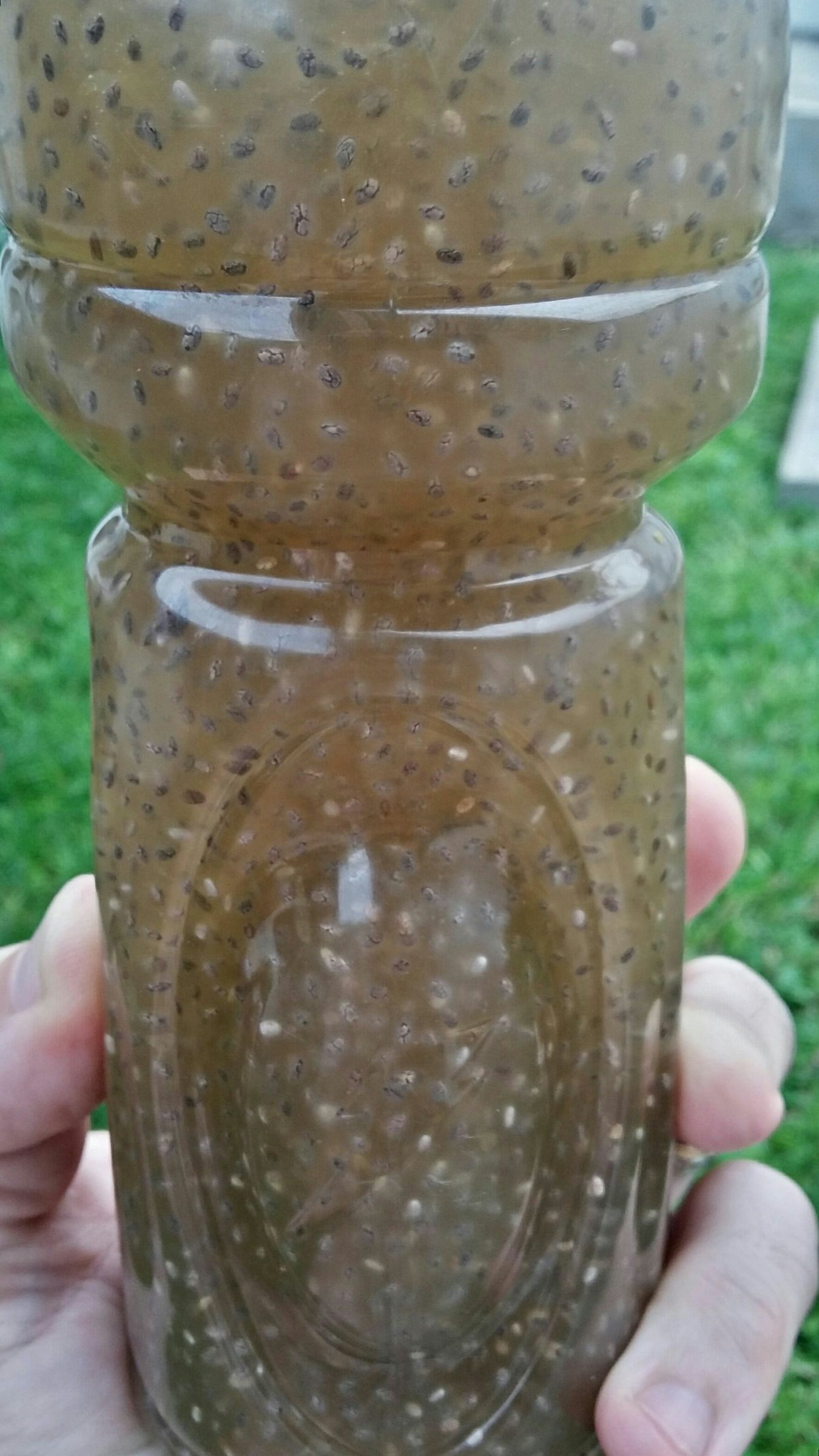 Iskiate (Chia Fresca) Natural Energy Drink : 3 Steps (with Pictures ...