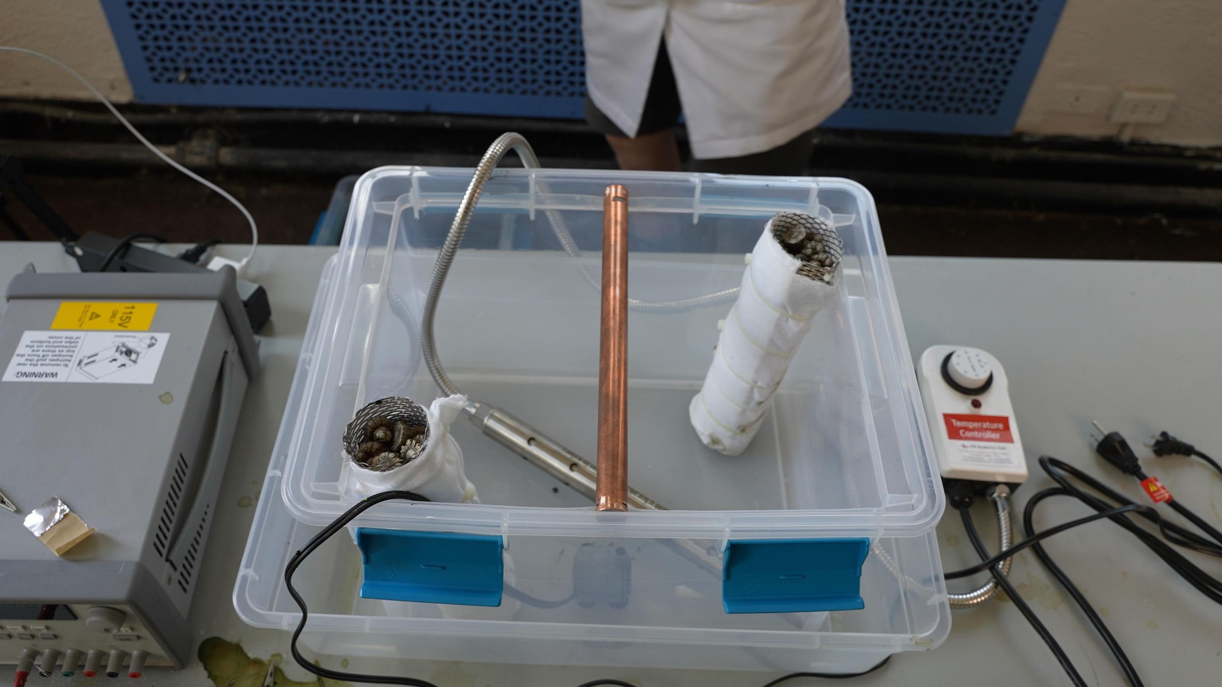 No-Fail Metal Plating With Kitchen Chemistry : 8 Steps (with Pictures ...