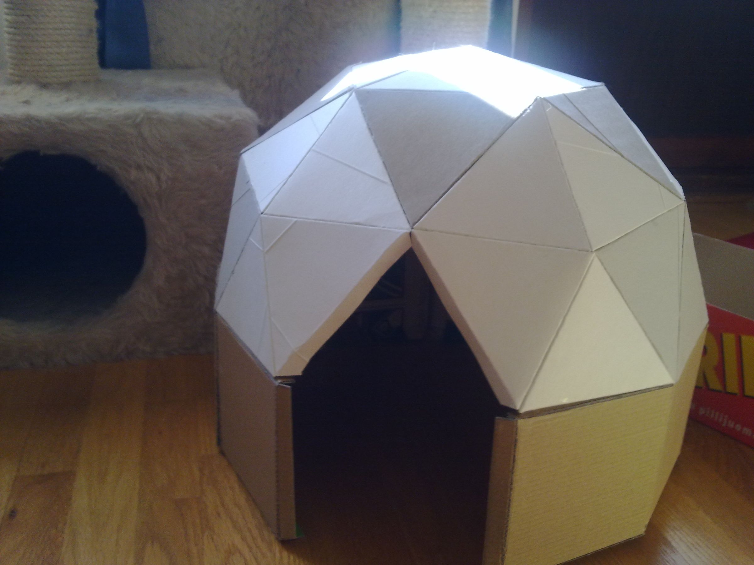 cat-sized cardboard dome DIY Project - Step-by-Step DIY Project ...