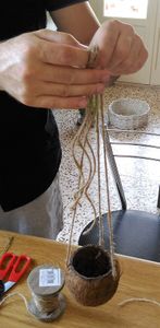 Coconut Pots : 4 Steps (with Pictures) - Instructables