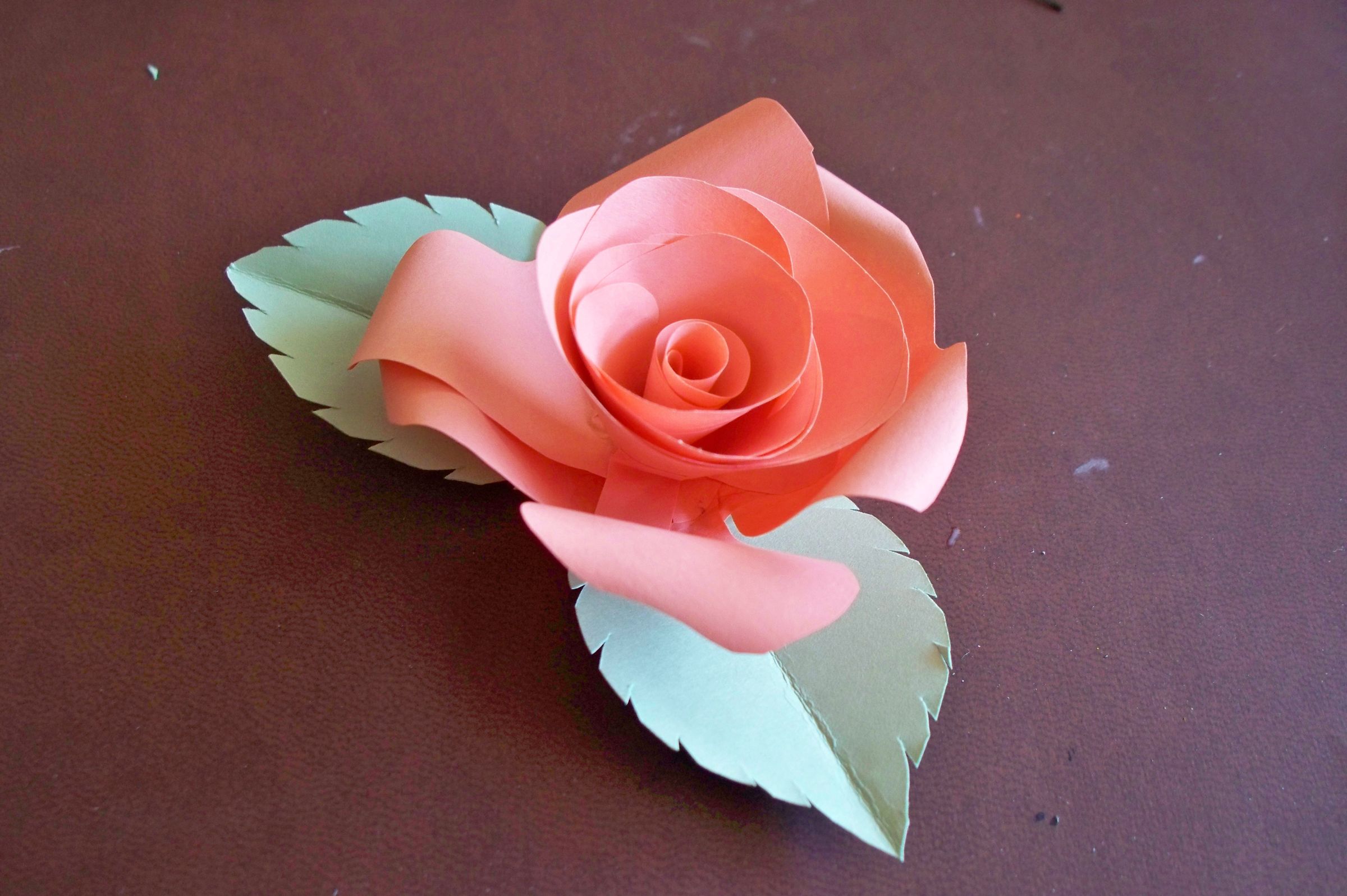 How to Make Paper Roses : 9 Steps (with Pictures) - Instructables