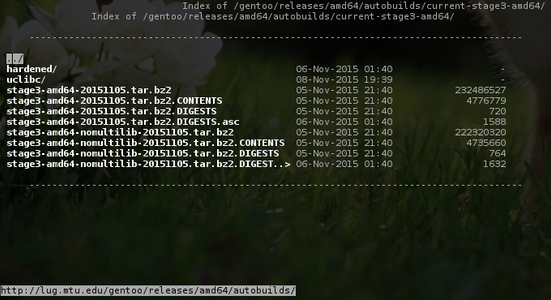 Install Gentoo Linux : 5 Steps - Instructables