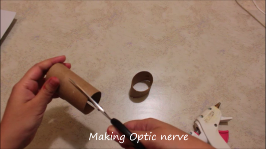 How to Make 3D Human Eye Model: Easy Way - Instructables