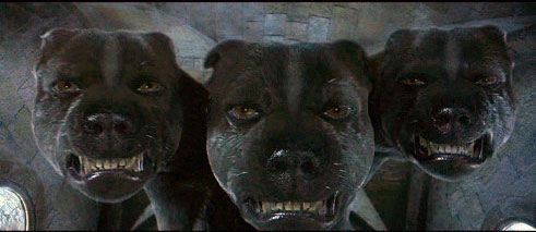 Cerberus Aka. "Fluffy" Costume for Your Dog : 8 Steps (with Pictures ...