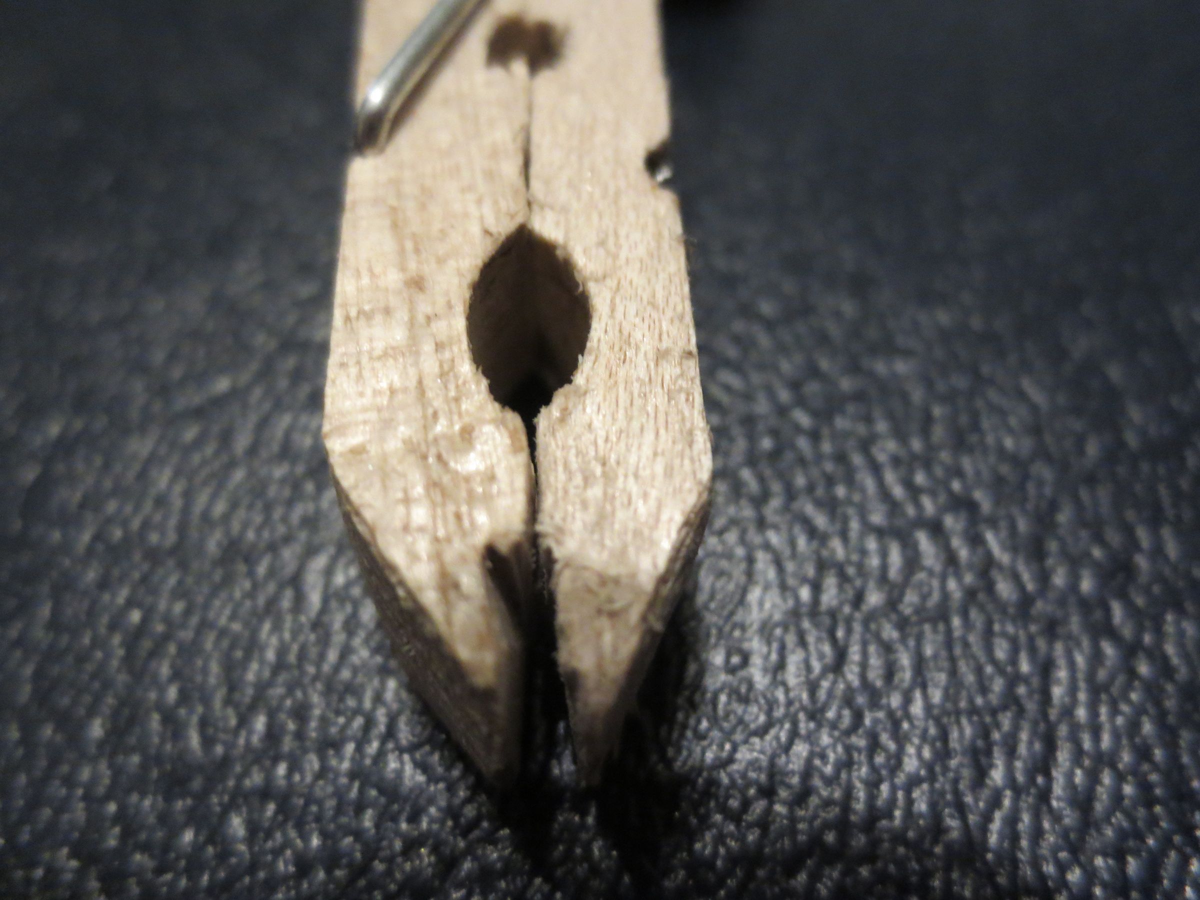 Dog Lure Stick : 5 Steps (with Pictures) - Instructables