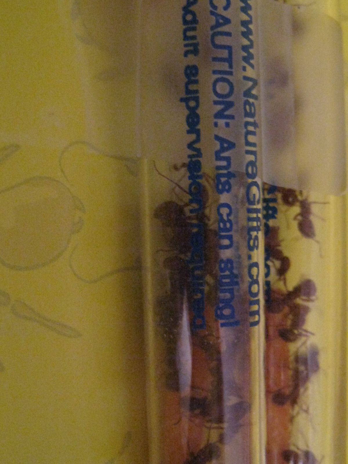 Arduino Uno Ant Farm 64 W/ Voltage Booster, Buck Toot Driven LED ...