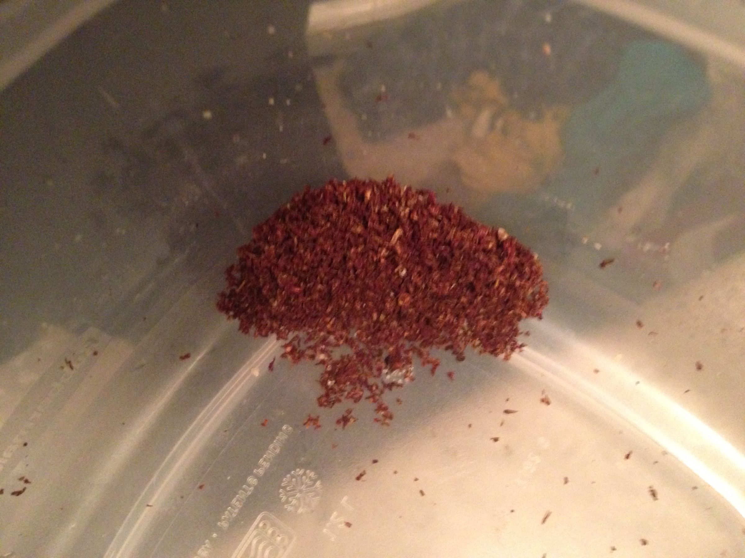 How to Make the Spice Sumac and Sumac Lemon Pepper : 4 Steps ...