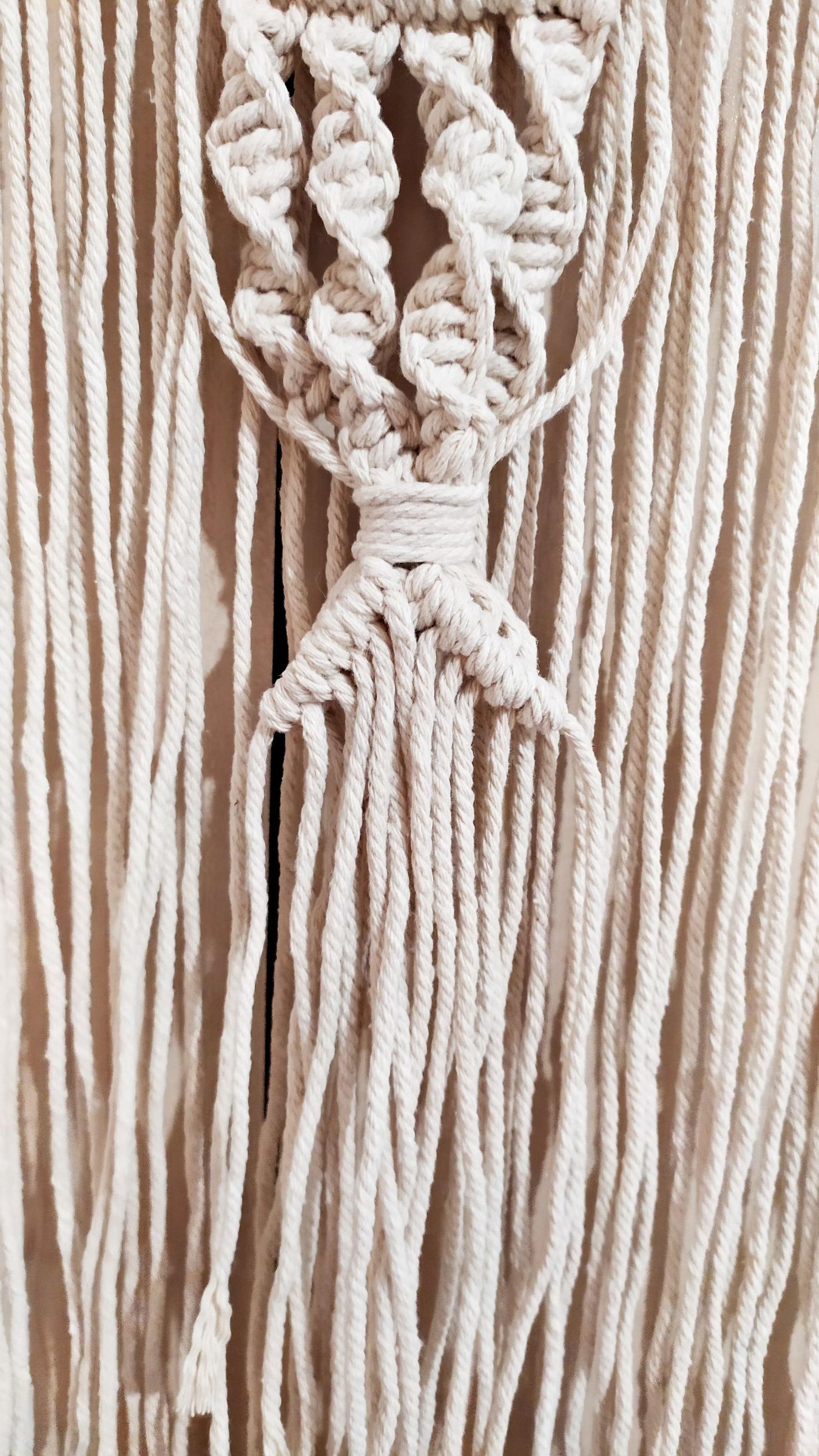 Macrame Fish Wall Hanging Made From Rope Scraps : 15 Steps (with ...