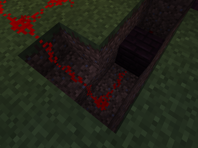 How to Make a Simple Passcode Door in Minecraft : 14 Steps - Instructables