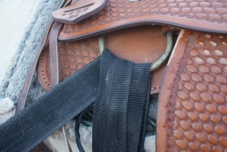 Saddling a Horse the Western Way : 11 Steps (with Pictures) - Instructables