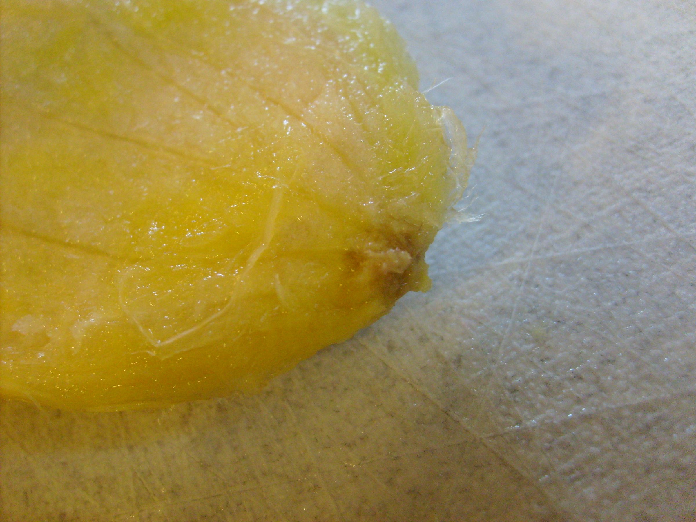 Grow a Mango Tree : 5 Steps (with Pictures) - Instructables