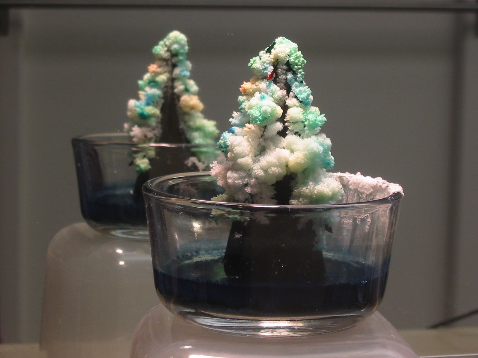 Grow Your Own Magic Crystal Tree : 8 Steps (with Pictures) - Instructables