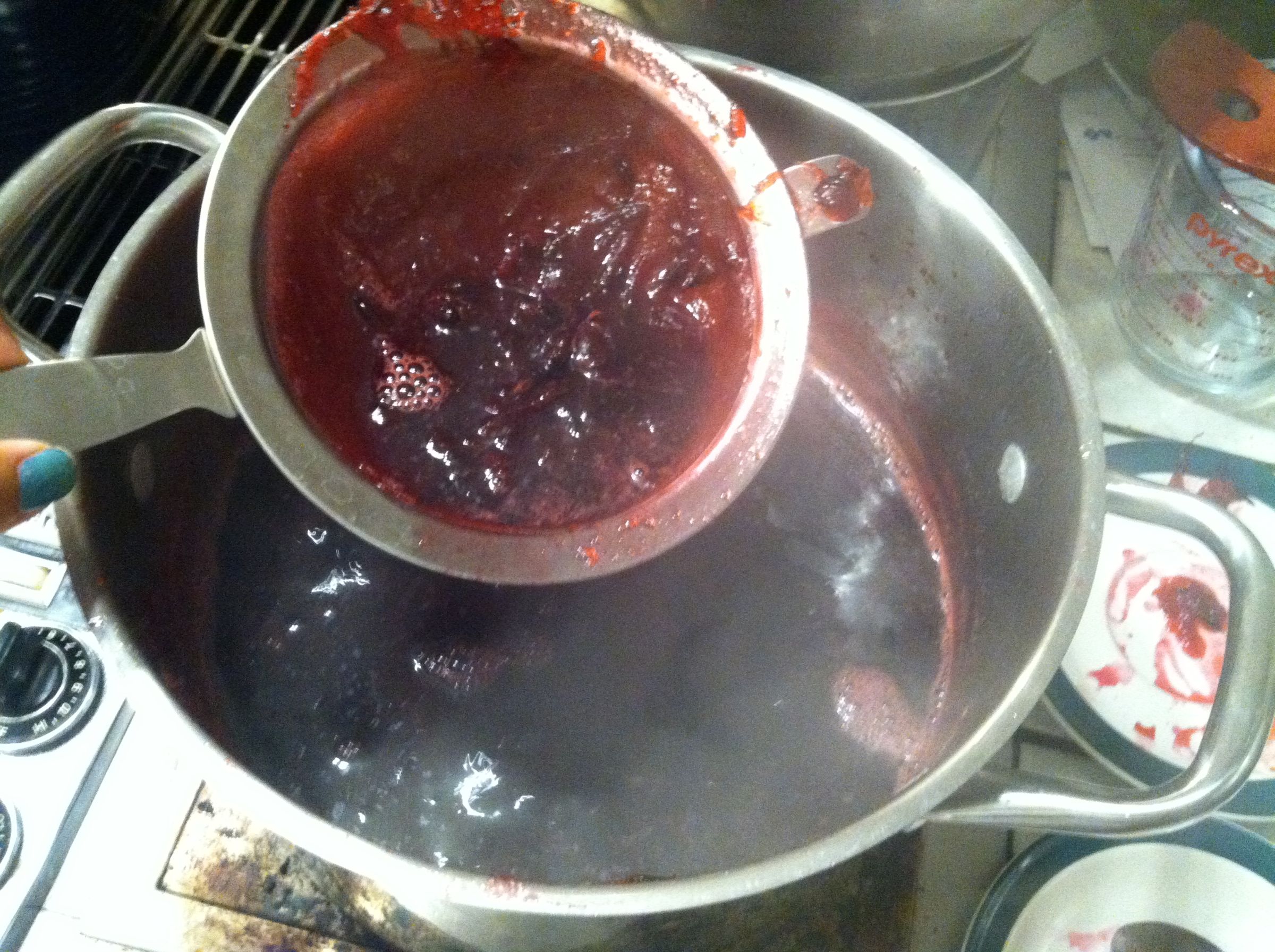 Roselle Syrup for Drinks! : 5 Steps (with Pictures) - Instructables