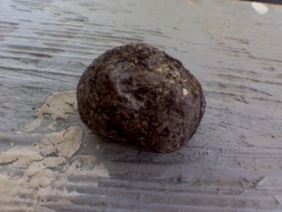 How to Make a Seed Bomb : 9 Steps (with Pictures) - Instructables
