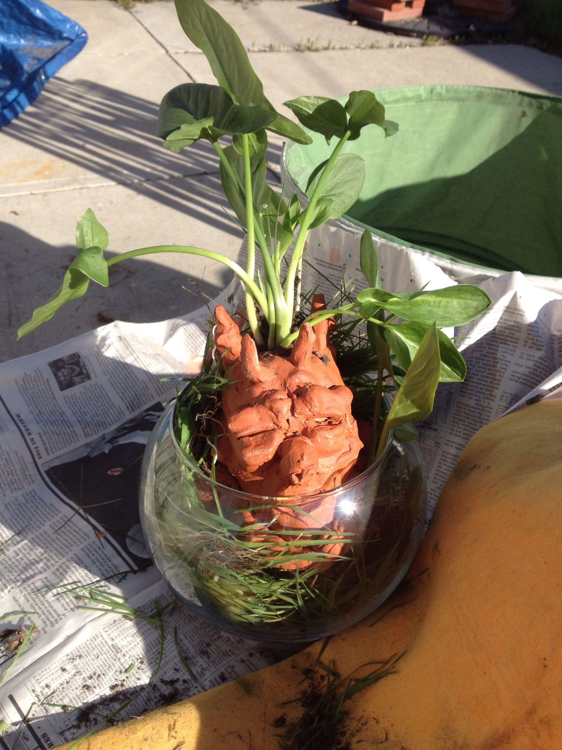 Harry Potter Mandrake Root : 4 Steps - Instructables