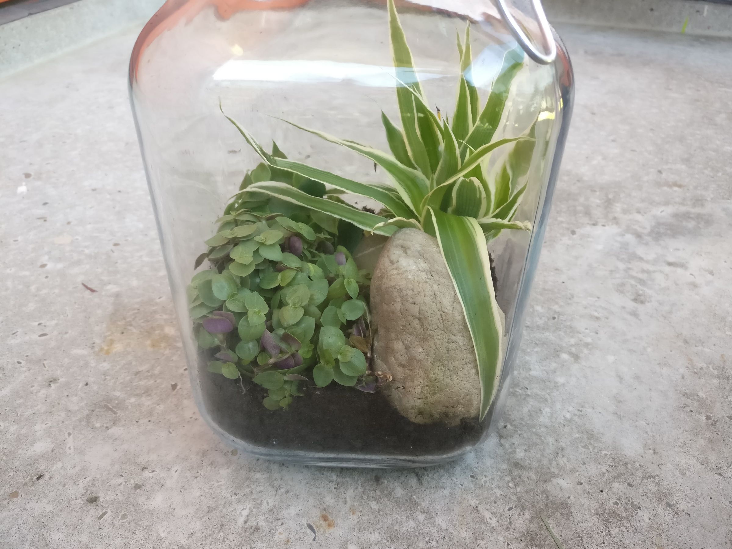 Do It Your-self Sustaining Ecosystem- : 6 Steps (with Pictures ...