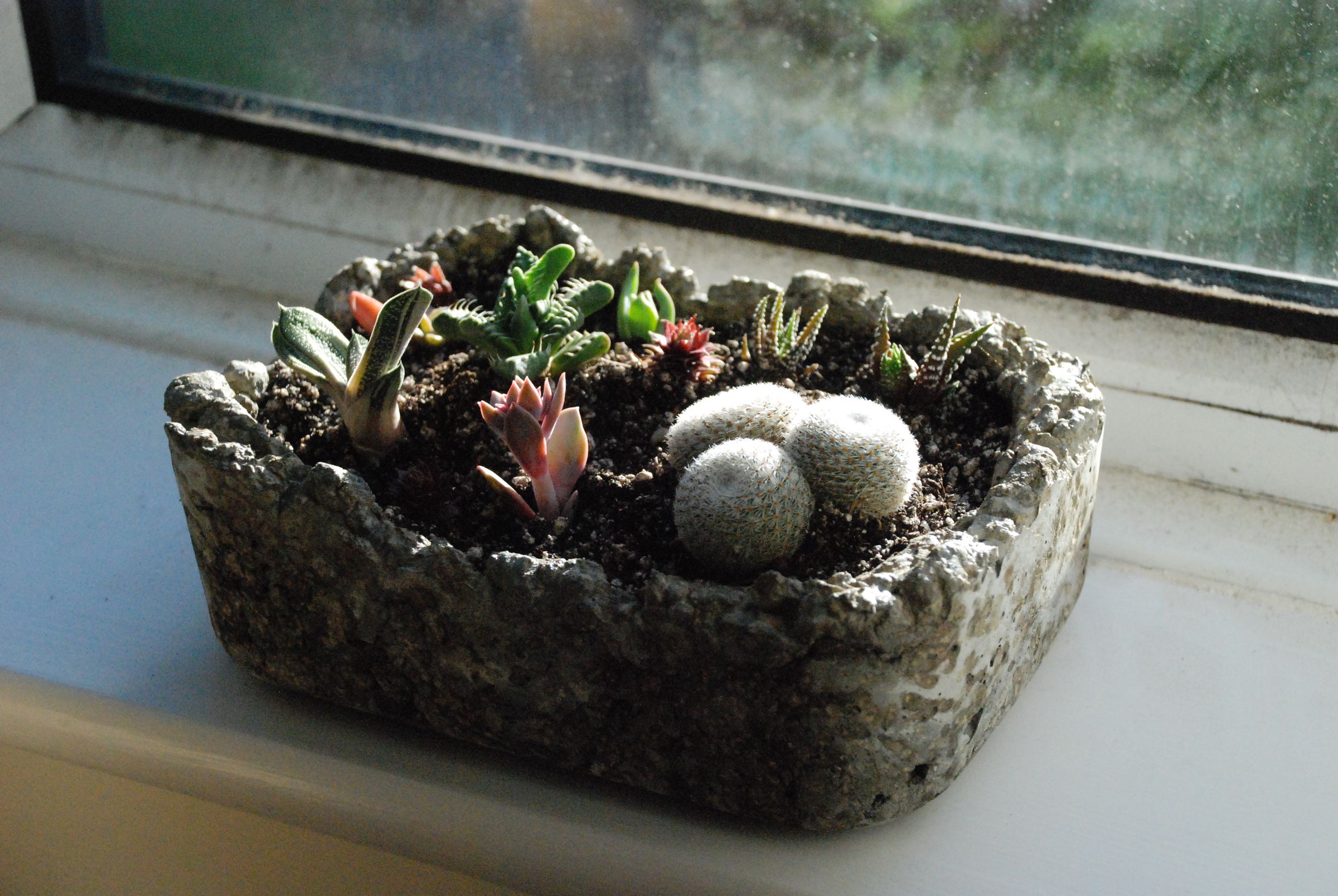 Earth-friendly Creating With Papercrete : 6 Steps (with Pictures ...