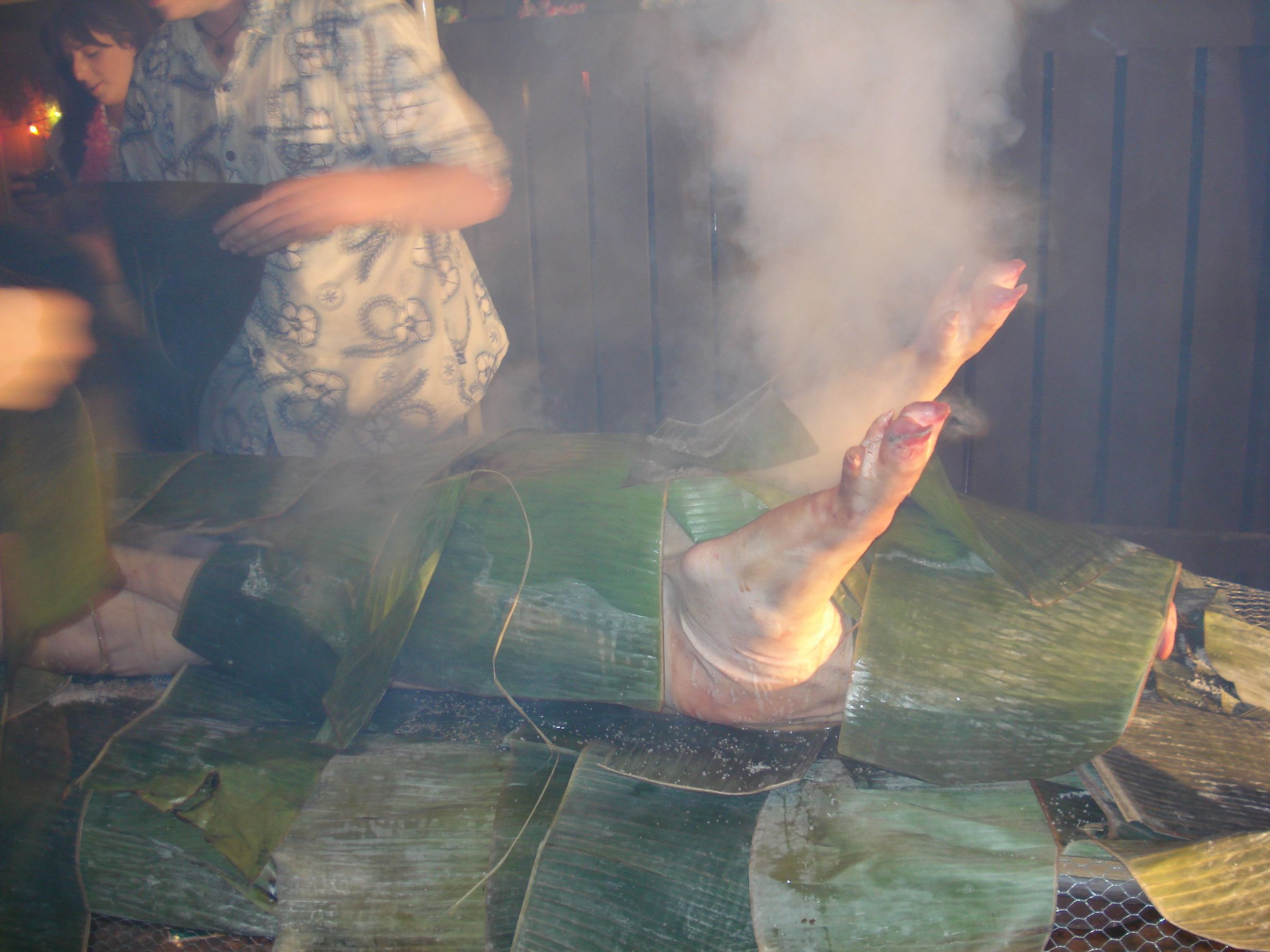 Luau Pig - Hawaiian Style (In the Ground With Hot Rocks) : 12 Steps ...